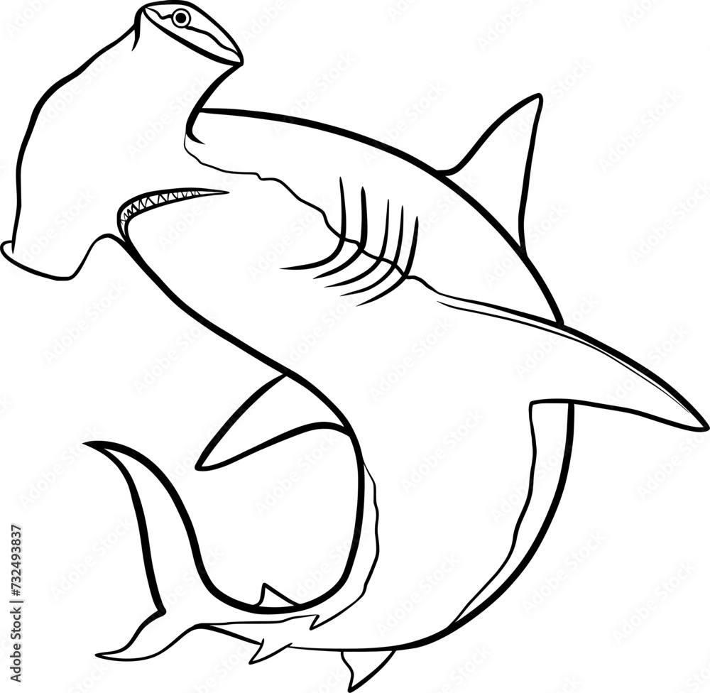 hammerhead shark outline illustration on transparent background Stock ...