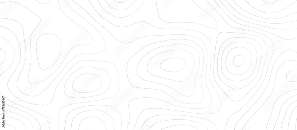 Abstract Topographic Contour Map Subtle White Vector Background Blank Detailed Topographic