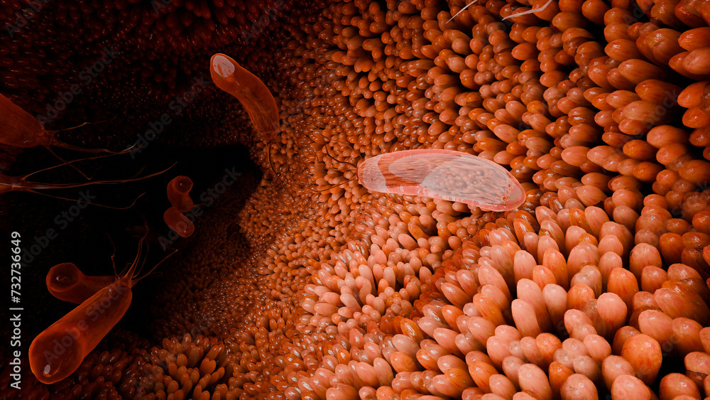 microvilli surface of digestive system, Intestinal villi with bacteria ...
