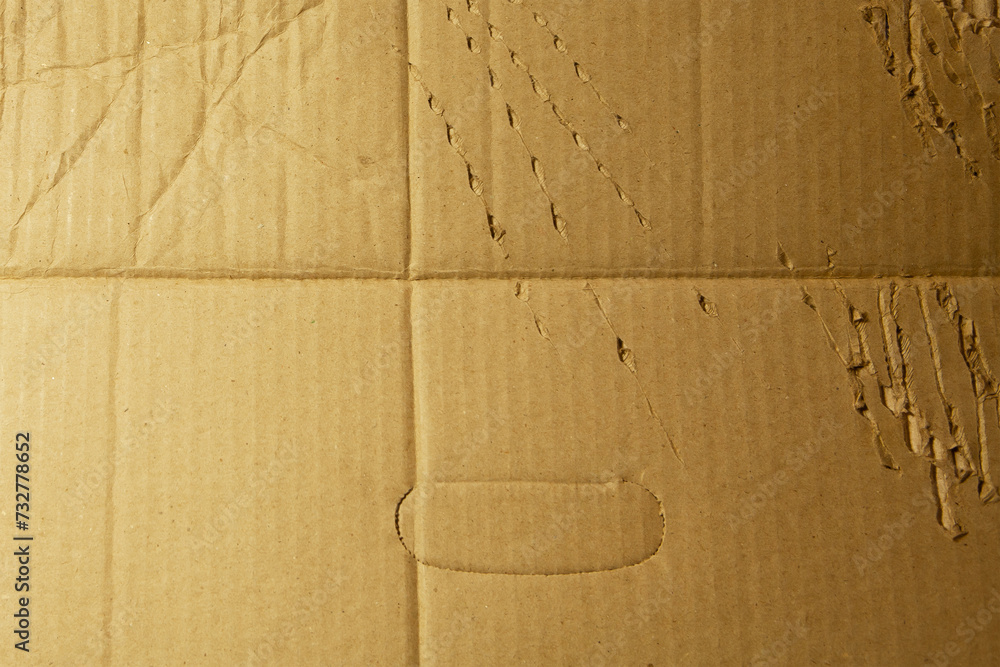 Torn, damaged cardboard or cardboard boxes, leaving claw marks. Stock ...