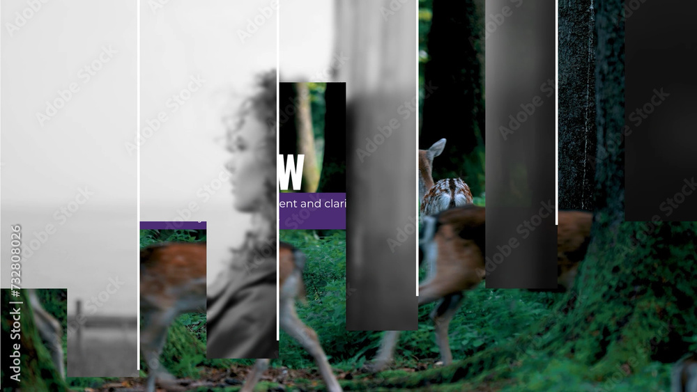 Captivating Block Reveal Effect Slideshow | Short and Long Duration ...