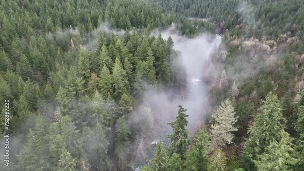 Low clouds drift across a thick forest of mixed trees in Molalla River ...