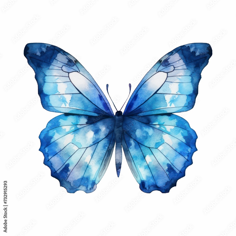 Monarch Butterfly with open wings in a top view as a flying migratory ...