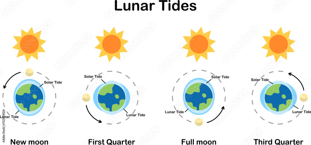Cause of tides. Moon tides, Lunar tides. Earth’s tide cartoon and ...