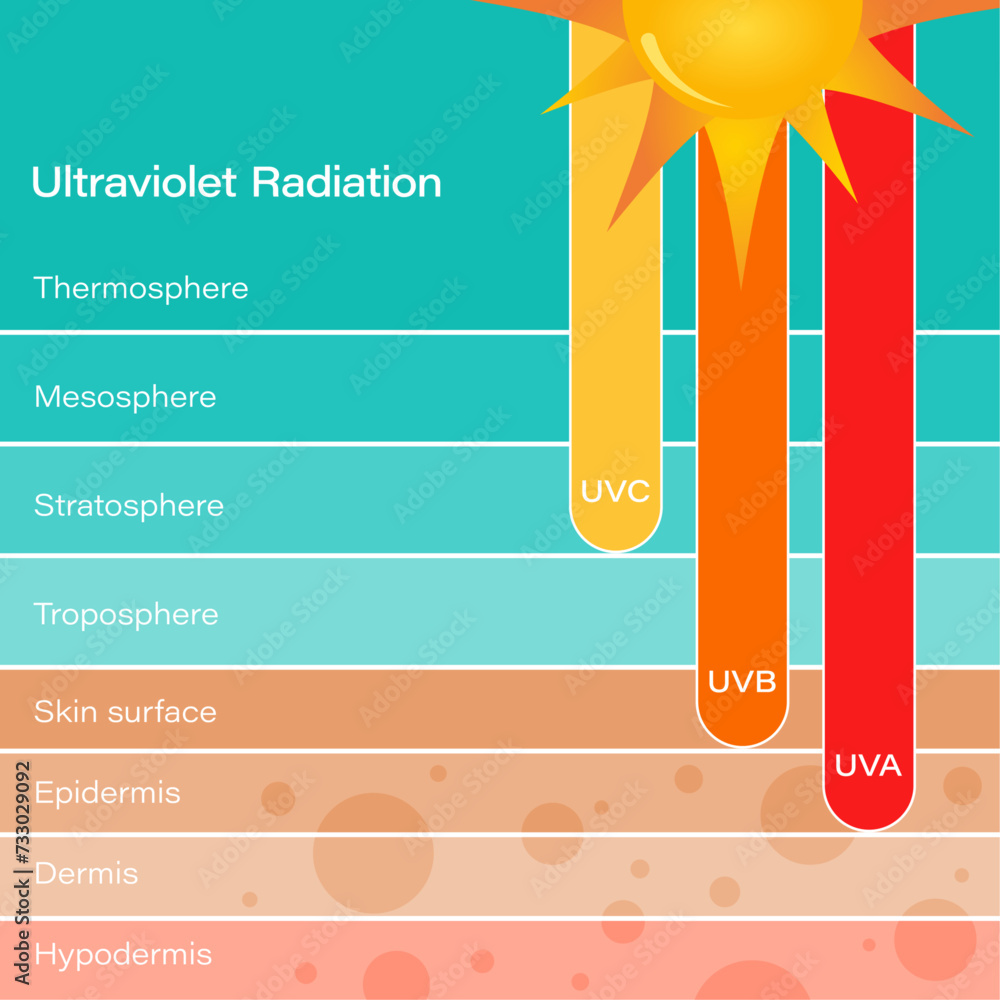 Ultraviolet UV radiation and the effect on human skin science vector ...