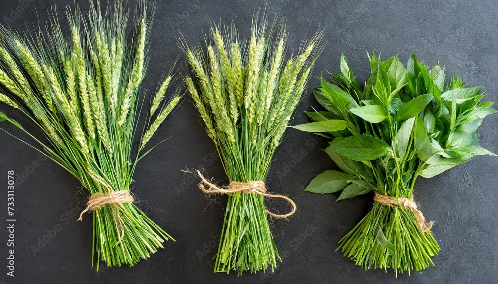 bundles of green meadow grass with spikelets isolated on transparent ...