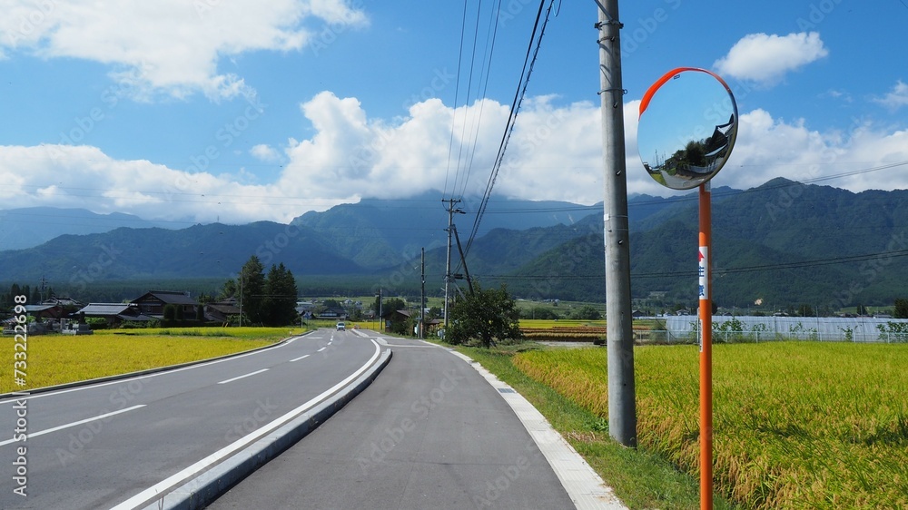 Road in the middle of grass fields, with a road safety convex mirror ...