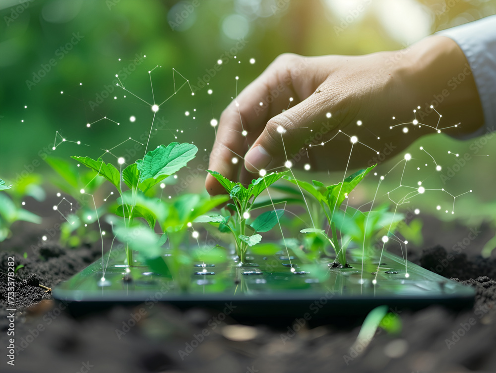 Hand nurturing young plants with digital icons, symbolizing precision ...