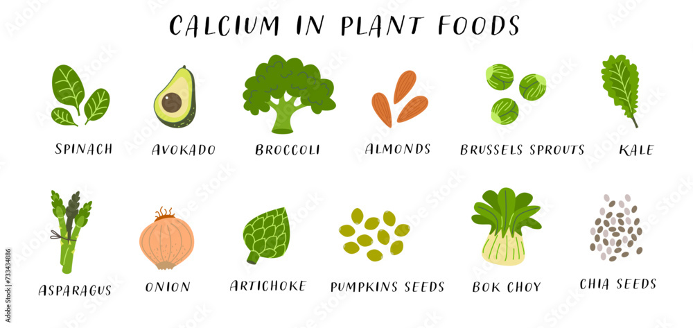 Vegan foods high in calcium. Nutritional healthy diet concept for ...