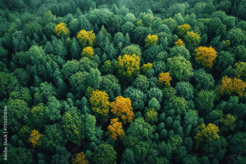 A drone-captured aerial photograph processed with AI for optimal color ...