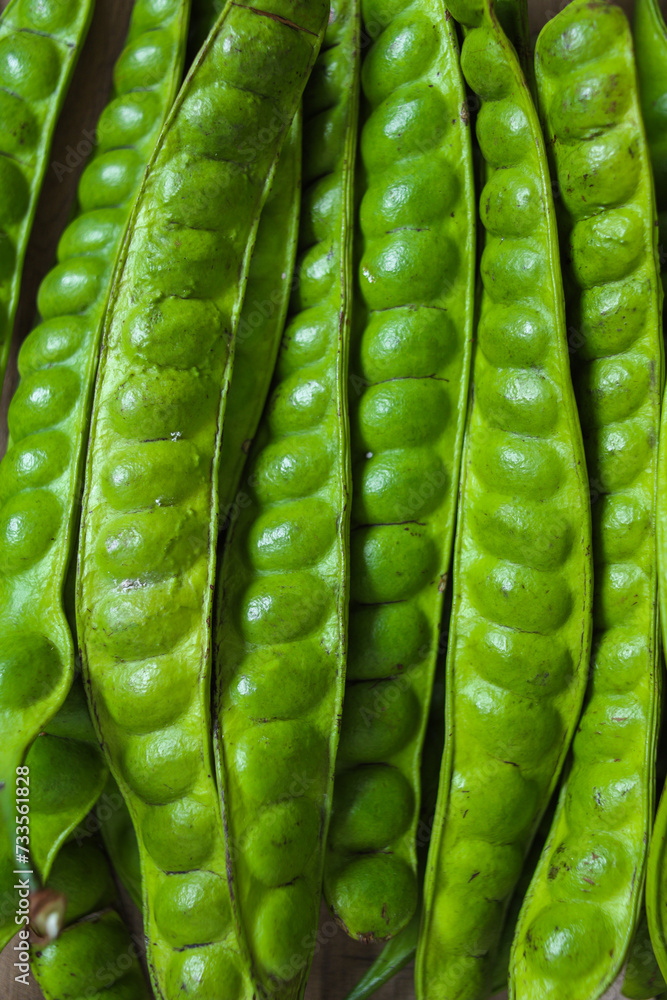 Raw of petai or pete (Parkia speciosa). Usually eaten raw and cooked ...