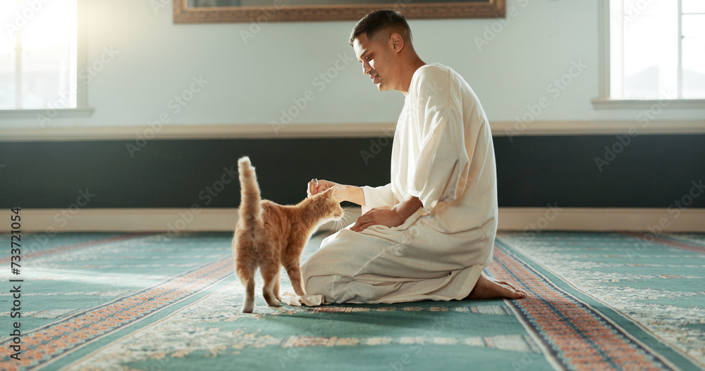 Cat, islamic and man with pet in a mosque for praying, peace and ...