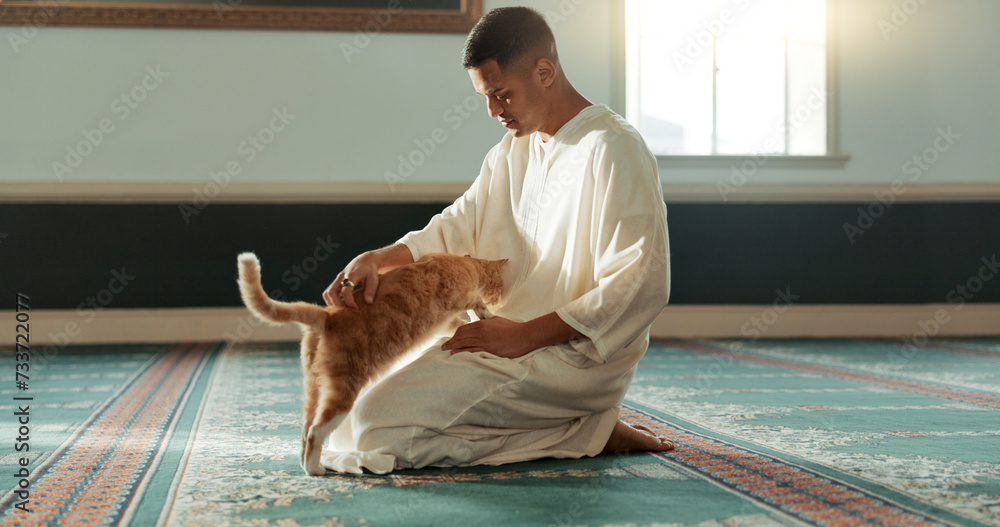Cat, islamic and man with pet in a mosque for praying, peace and ...