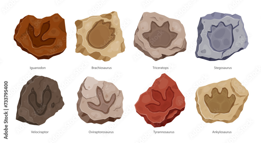 Ancient dinosaur footprints, archaeology fossil. Iguanodon ...