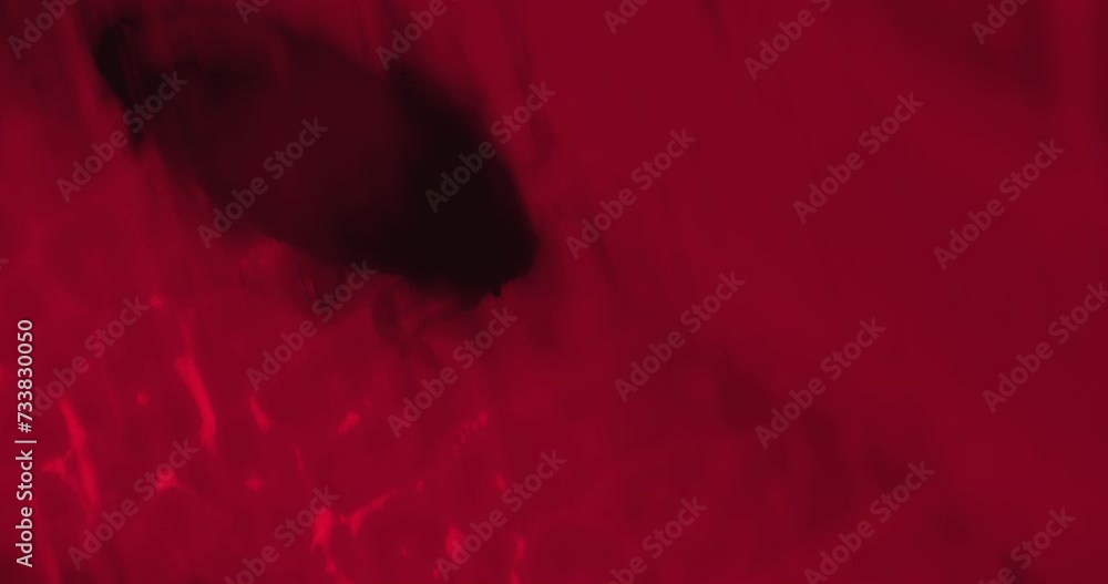 Infected tree leaf under a microscope under a red filter. Dead bugs on ...