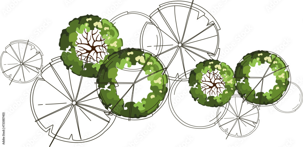 Group of trees for architectural floor plans. Entourage design. Various ...