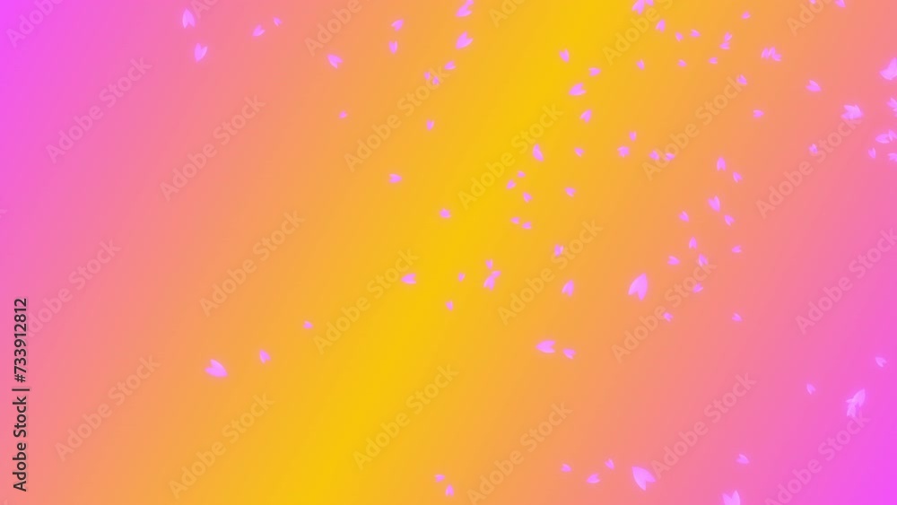 Pink cherry petals falling and flowing on the wind in the right half ...