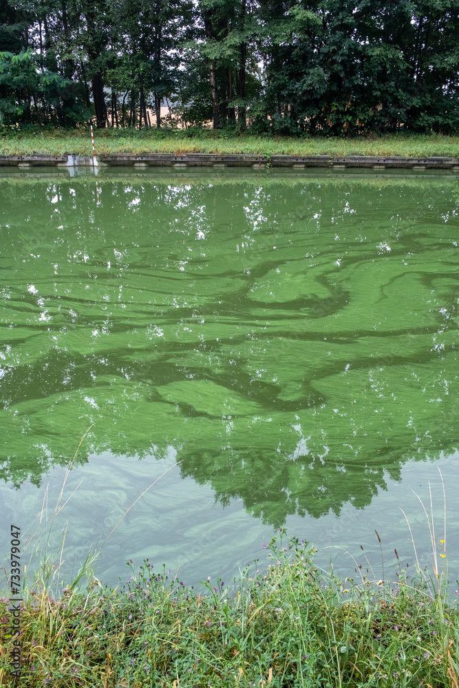 This photograph showcases a quiet canal where the water is experiencing ...