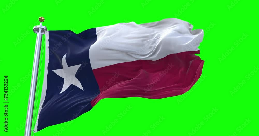 Vidéo Stock Texas flag realistic waving in the wind 4K video, green ...