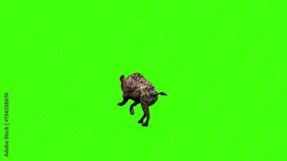 Vídeo do Stock: Hyena 3D fast run back view loop on chroma key, 4k ...