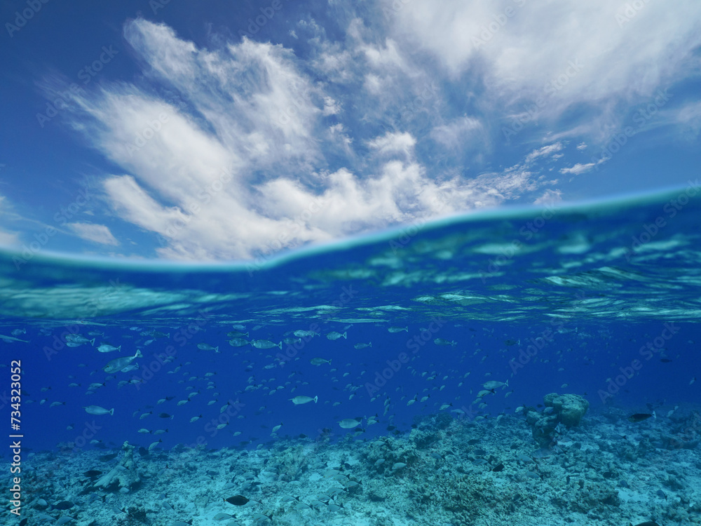 Ocean seascape, blue sky with cloud and reef with school of fish ...