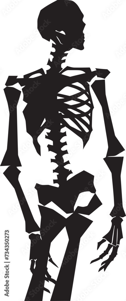 Unraveling The Human Skeleton Understanding The Full Bodys Bony