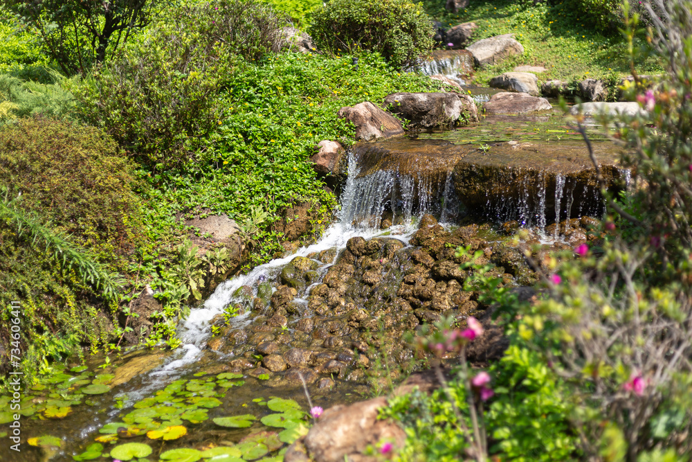 Mini cascadas de un arroyo parte de un jardin japones lleno de ...
