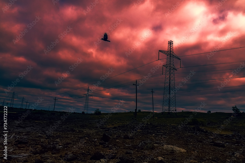 Depleted Earth. This is what the planet of the future will look like if ...