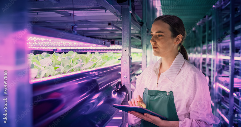Portrait of Vertical Farm Technical Specialist Working in a Facility ...