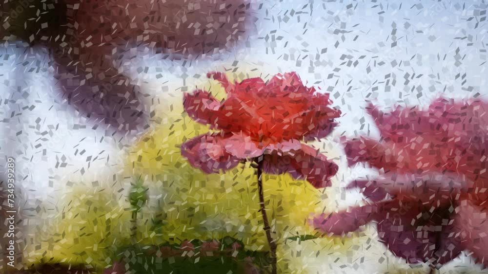 Vidéo Stock Pink Rose Texture Pink rose moving a little in the breeze ...