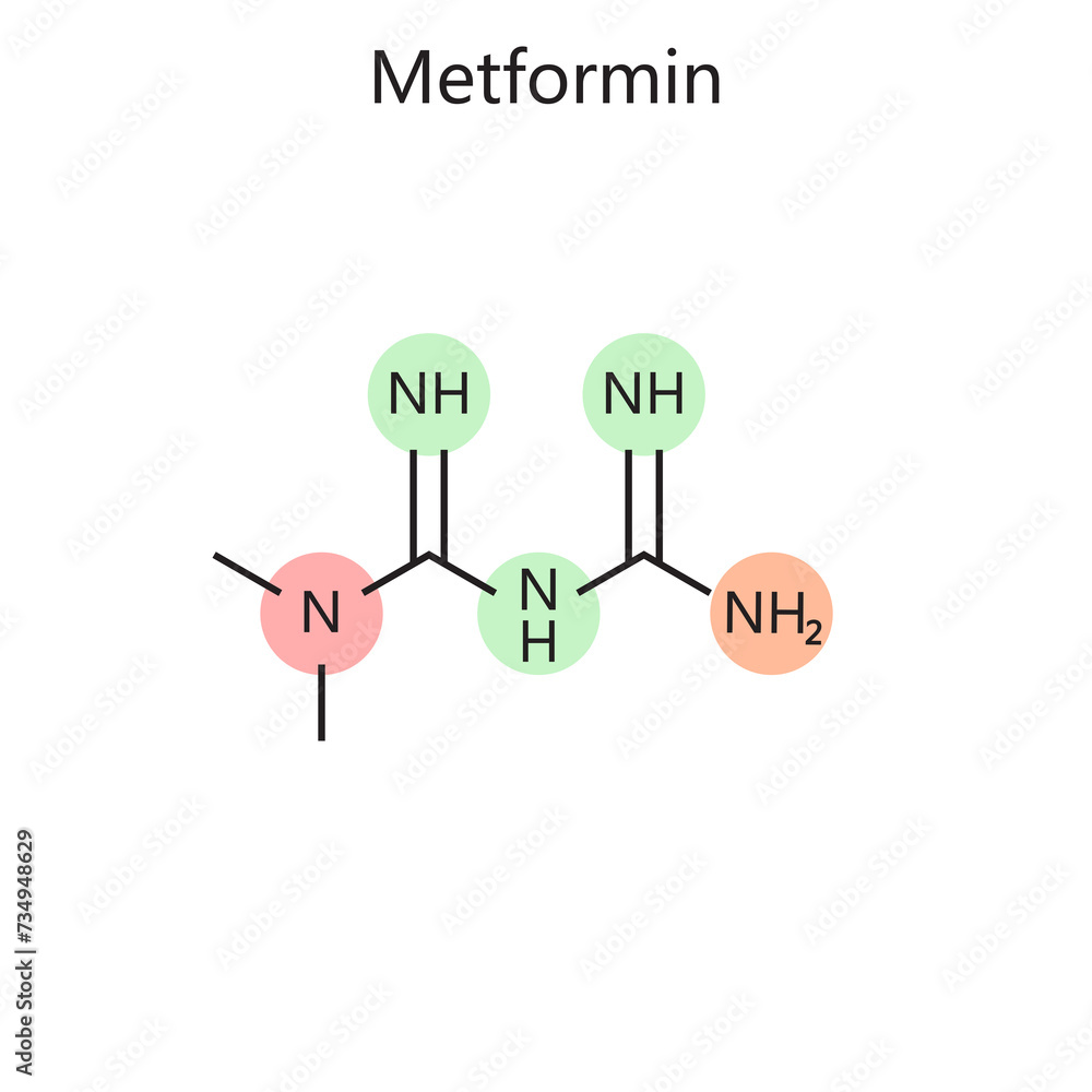 Chemical organic formula of Metformin diagram hand drawn schematic ...