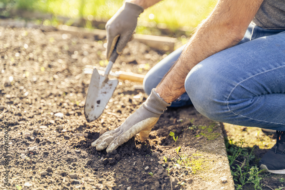 Young male farmer in jeans, sneakers and protective gloves, sitting and ...