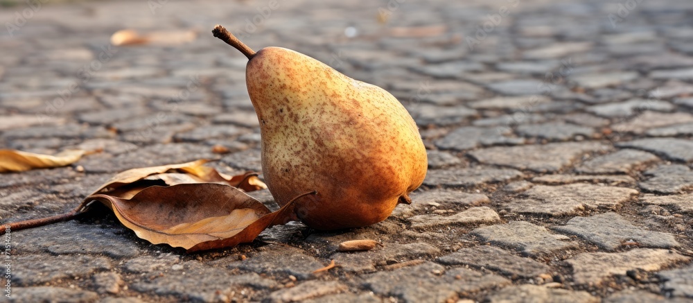 The core or center of the pear Remains of pears that have been bitten ...