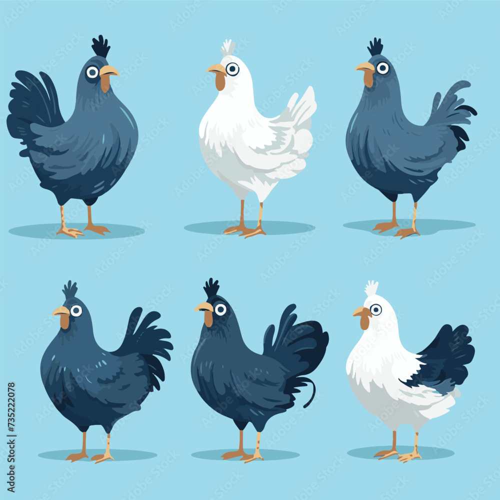 vector illustrations of different chicken breeds, showcasing their ...