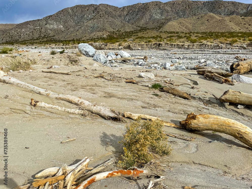 A Stream Bed showing the deposition of plants and trees and the ...