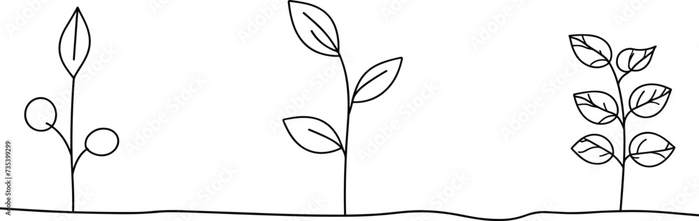 Plant growing line art, botanical illustration vector, growth cycle ...