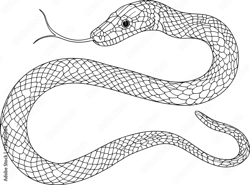 Monochrome Snake line art vector, minimalist snake drawing on isolated ...