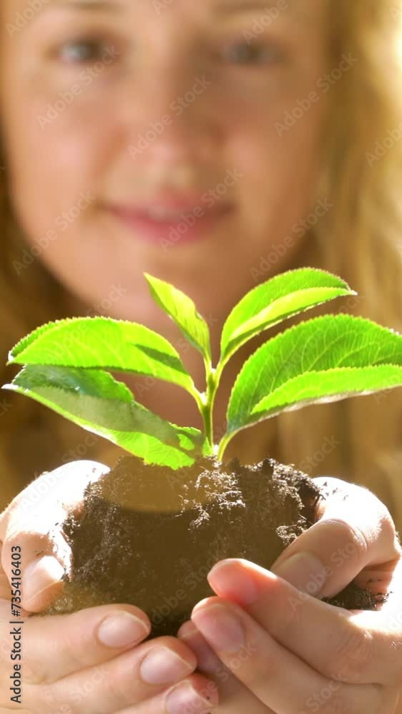Vidéo Stock Tree sprout growing from hands of young woman on the forest ...