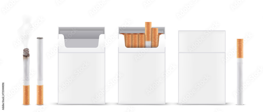 Realistic cigarette set isolated on white background. Different stages ...