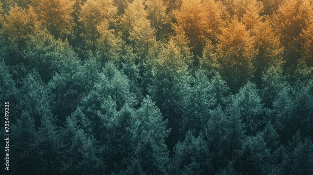 rich and earthy grainy gradient flowing from forest green to deep brown ...