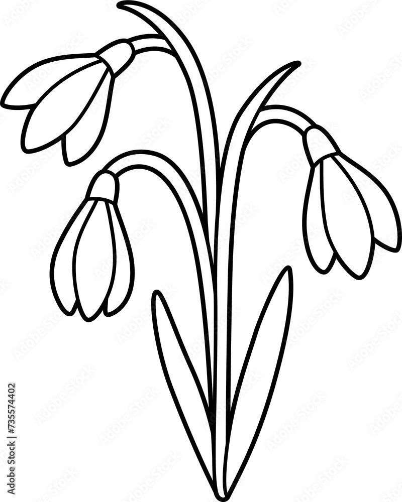 Snowdrop flowers bouquet, black and white line drawing. Simple cartoon ...