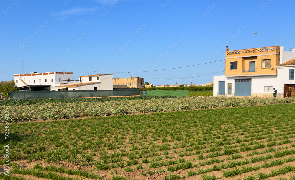 Farm field house. Farmhouse in Valencia, Alboraya, L’Horta. Spain ...
