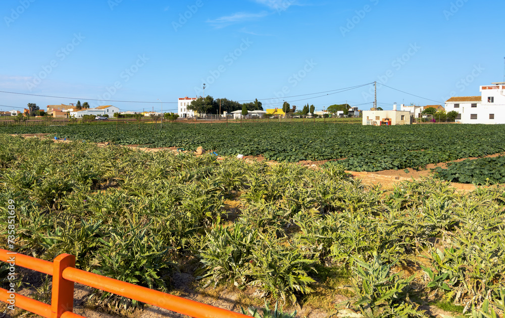 Farm field house. Farmhouse in Valencia, Alboraya, L’Horta. Spain ...