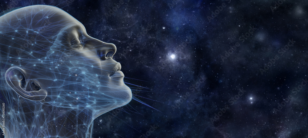 Take time to feel the connection to All That Is the Universal Mind ...