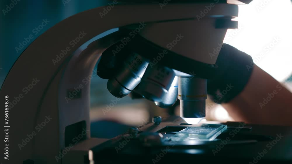 Microscope Analysis in Progress,Gloved hand adjusting microscope with ...