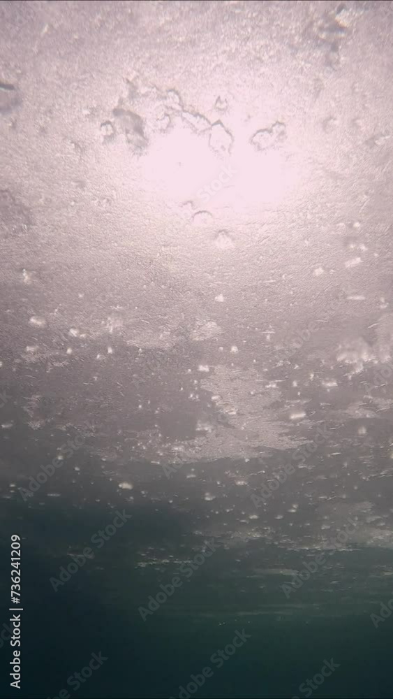 Vidéo Stock Vertical video, Underwater view on sunlight penetrating the ...