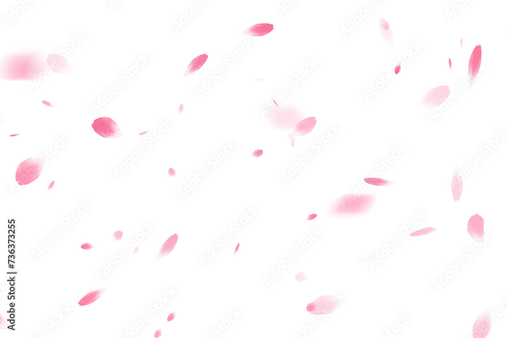 Pink Rose Petals Overlays for Photography . Petals Falling from the Sky ...