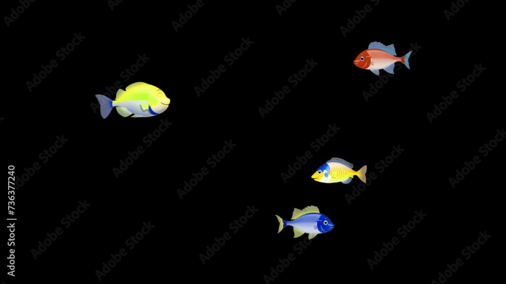 animation of four fishes swimming on a transparent background. 4k Video ...