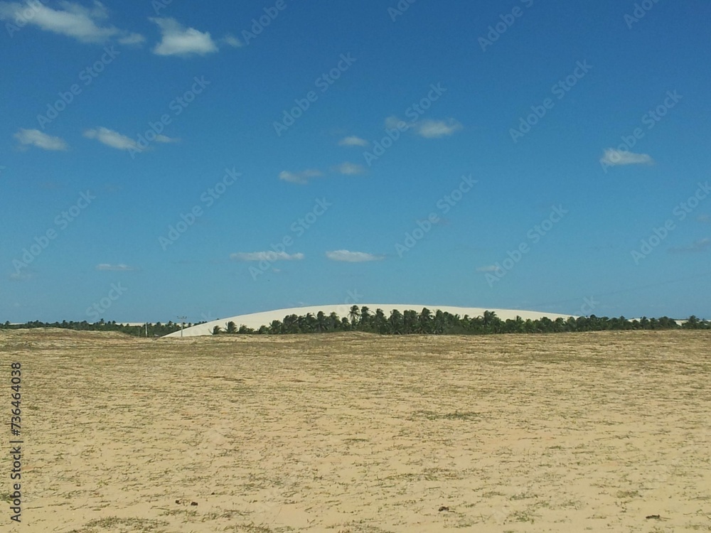 Beach in northeast Brazil with coconut trees and sand, sand dunes ...