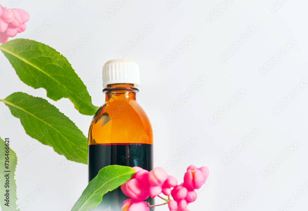 Medical medicine in a jar with herbs. Euonymus warty, homeopathic berry ...